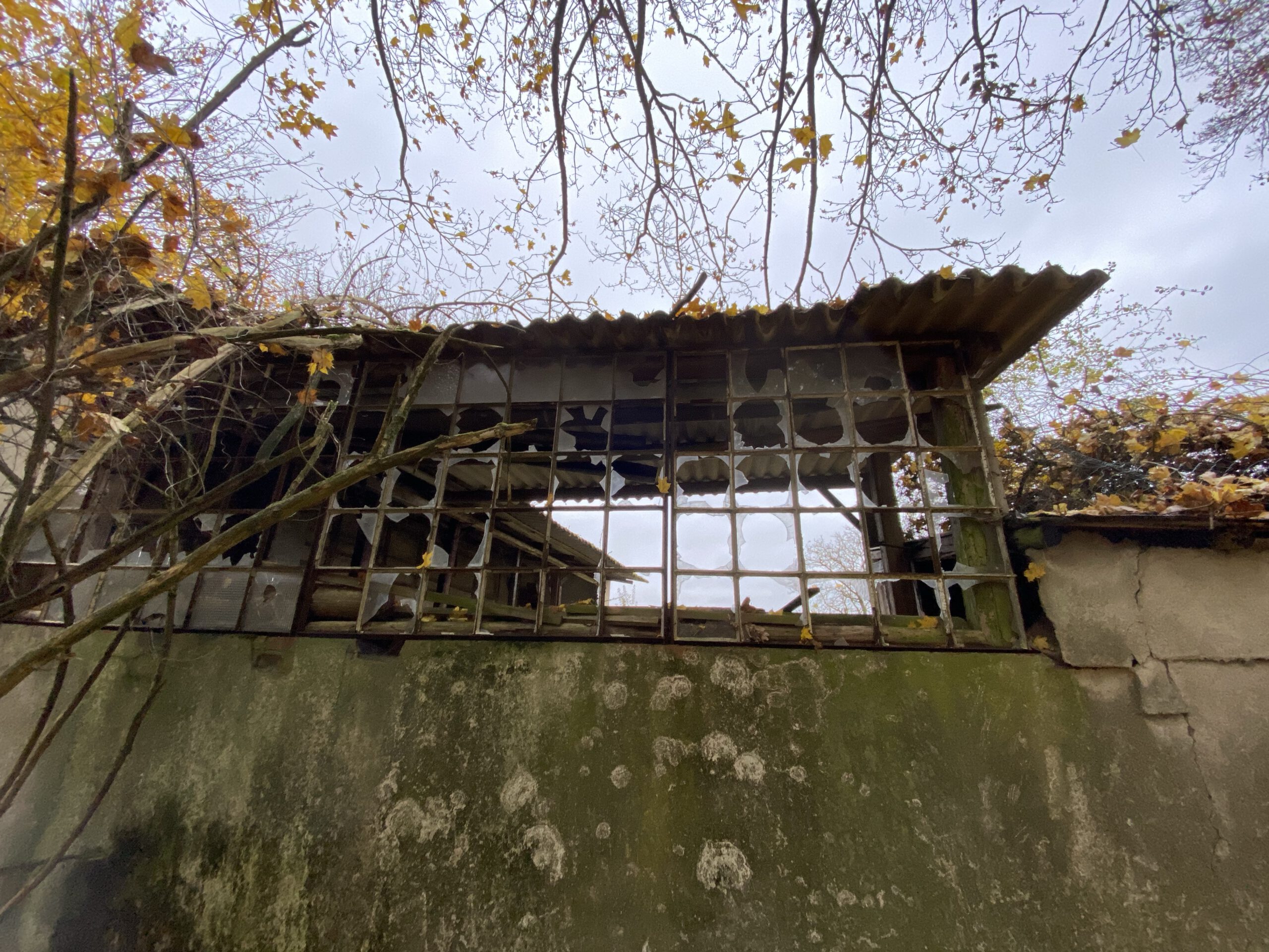 Android: Fix Unauthorized Devices on macOS - Creatronix